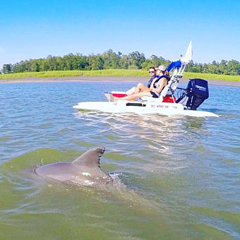 Creek Cat Guided Tour | Virgin Experience Gifts